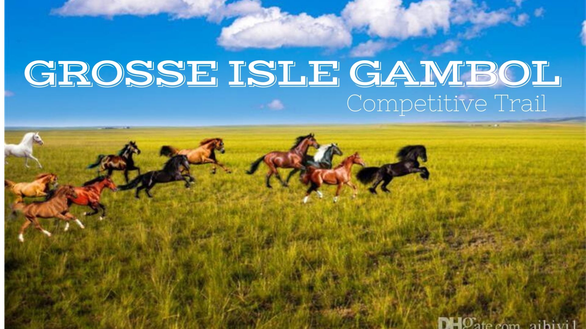 Grosse Isle Gambol – Manitoba Trail Riding Club